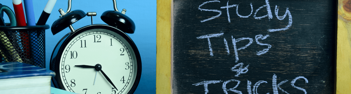 Study Tips Techniques Forum | Plexuss