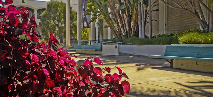 SDSU Information | About San Diego State University | Find Colleges