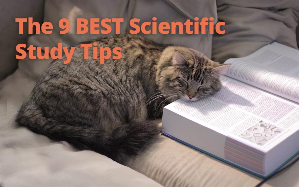 Best Study Tips | Plexuss.com