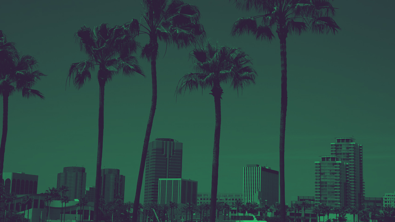 California State University Long Beach - Five Things To Look For On ...