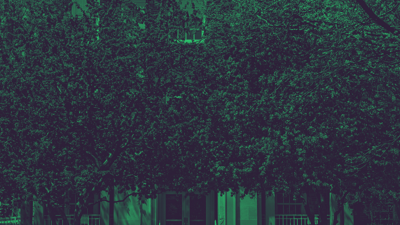 How Do Colleges Really Make Their Admissions Decisions? + Illinois ...