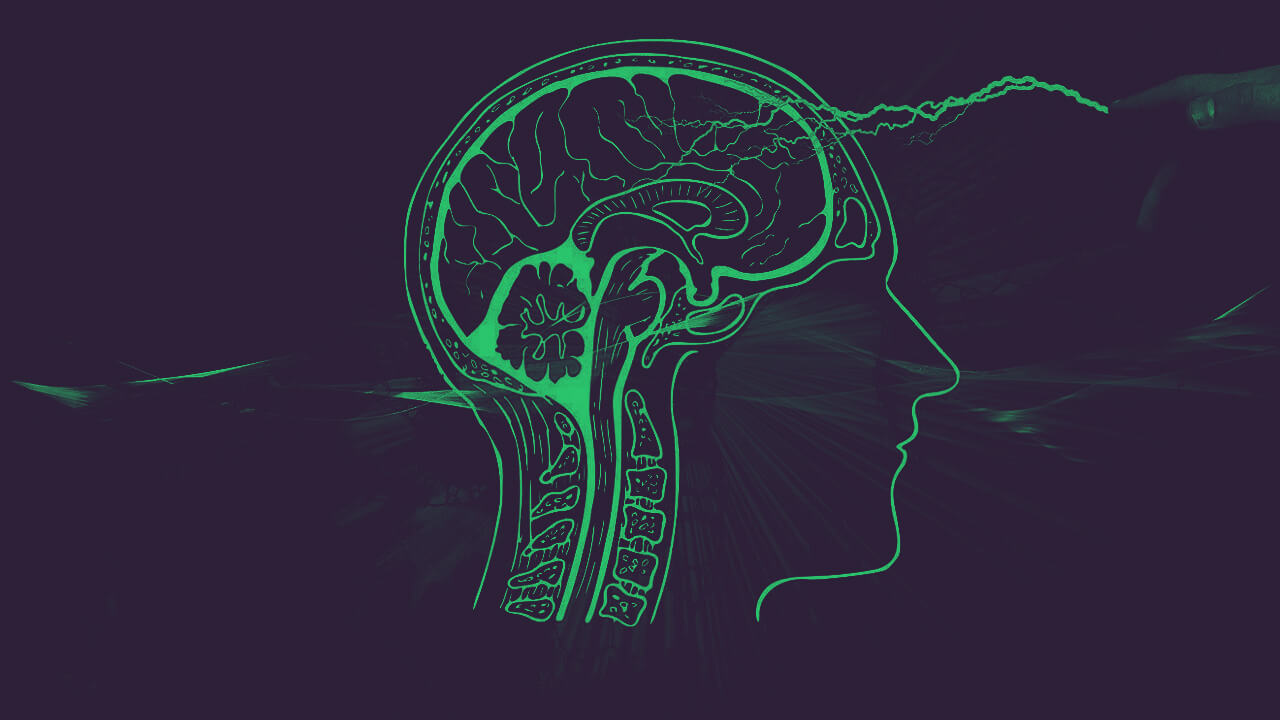 Long Term Memory -How To Improve it and What It Is | Plexuss