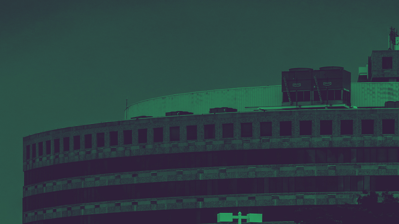 My Freshman College Experience at Towson University | Plexuss.com