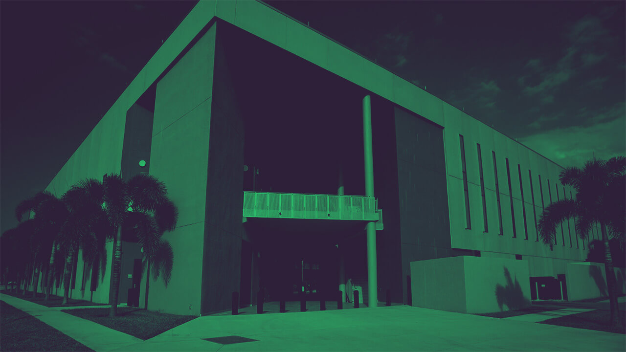 Everything You Need to Know: University of Miami | Plexuss.com